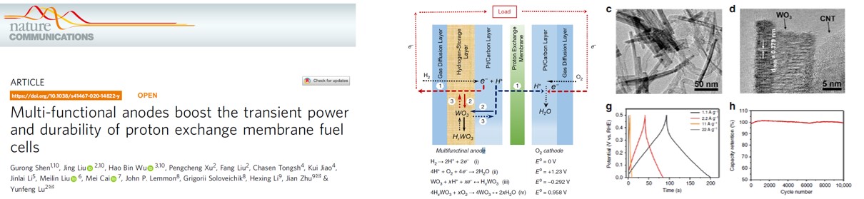 Nature communications, 2020, 11(1): 1-10.
